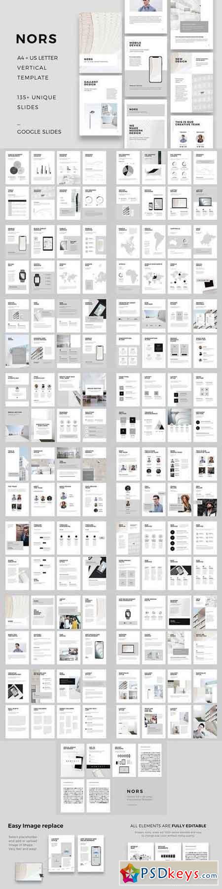 NORS Vertical Google Slides A4 US Letter Template Free Download 
